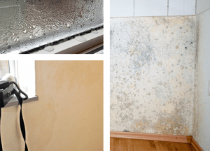 Damp info - Moisture problems in the house | SmartDry