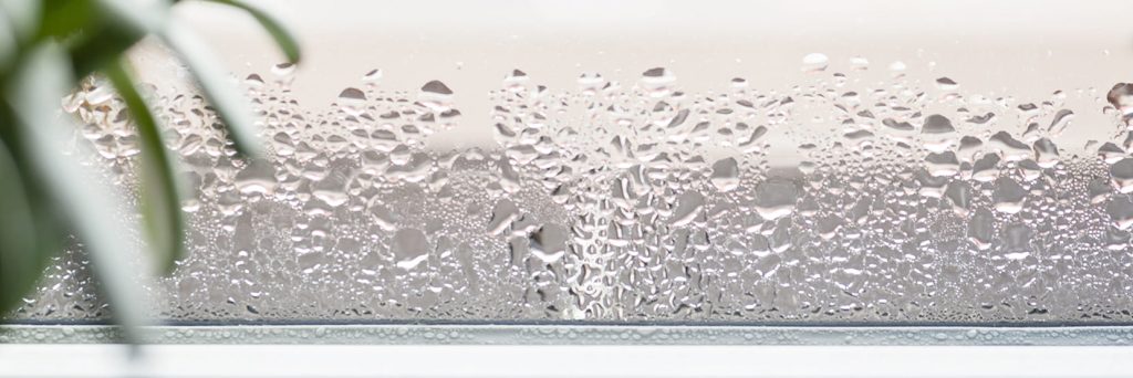 What are ideal humidity levels in the house? | SmartDry