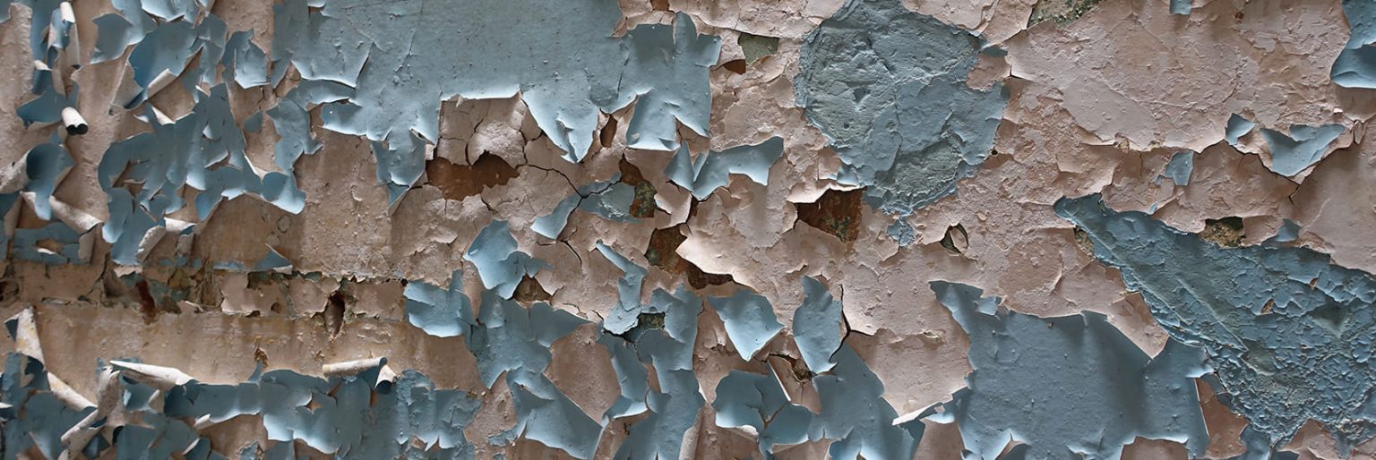 The external wall looks damp, what can I do? | SmartDry