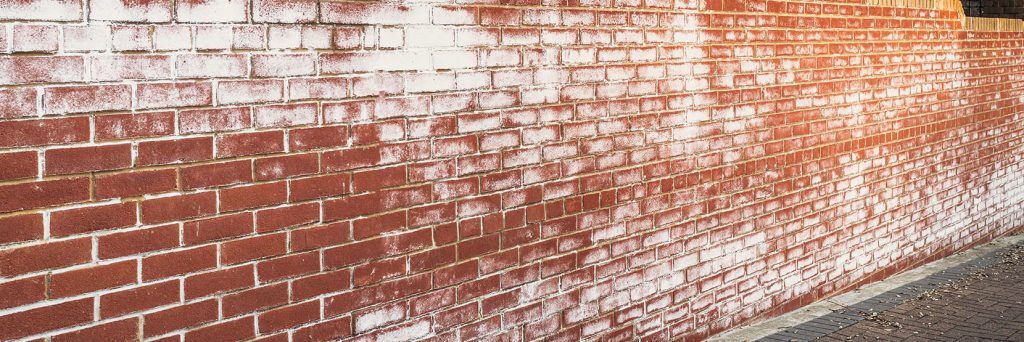 Salts on the wall? Here's how to solve it - Blog | SmartDry